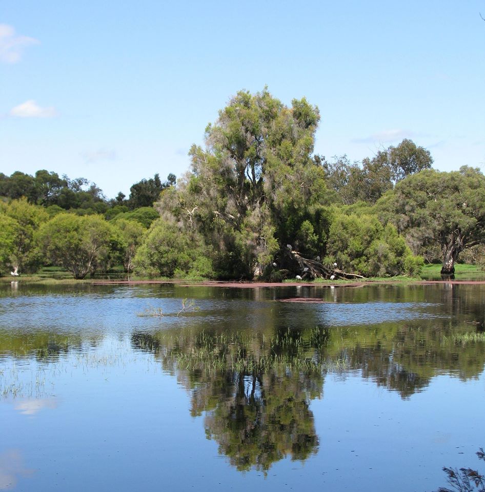 About us – The Beeliar Group